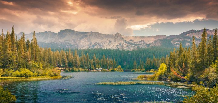 Workshop “Seed masting modeling” | SISEF.ORG