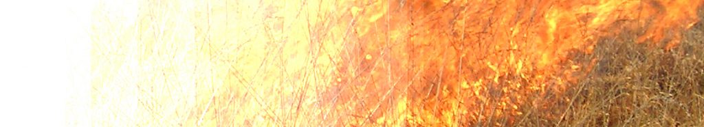 sfondo_fuoco | SISEF.ORG