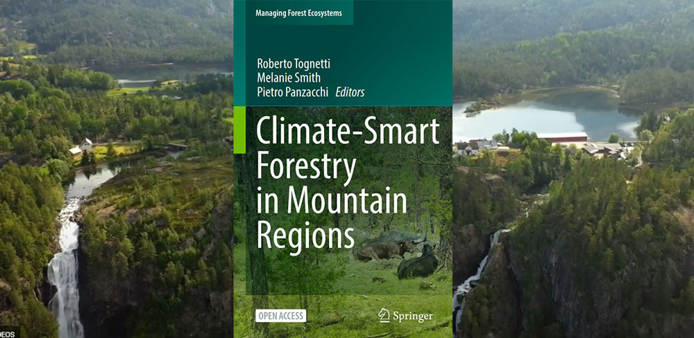 Climate-Smart Forestry in Mountain Regions | SISEF.ORG