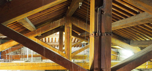 GdL Filiera del legno | SISEF.ORG