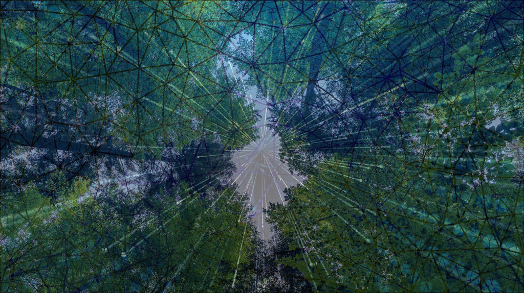 Soluzioni Blockchain per il Monitoraggio della Multifunzionalità delle ...